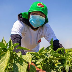 Conócenos – ECOSAC